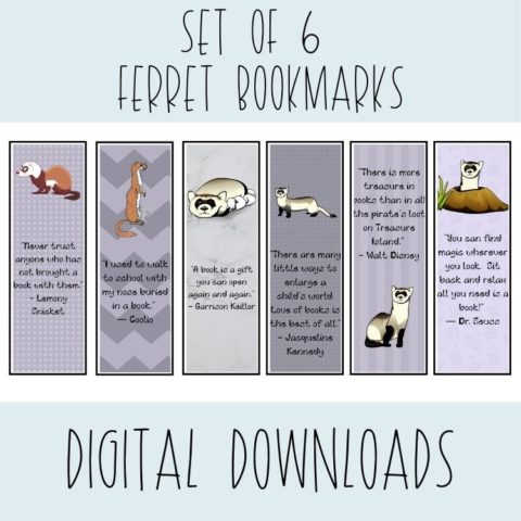 Fun Facts about Ferrets for Kids - The Facts Vault